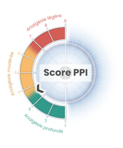 Score PPI | IDMED